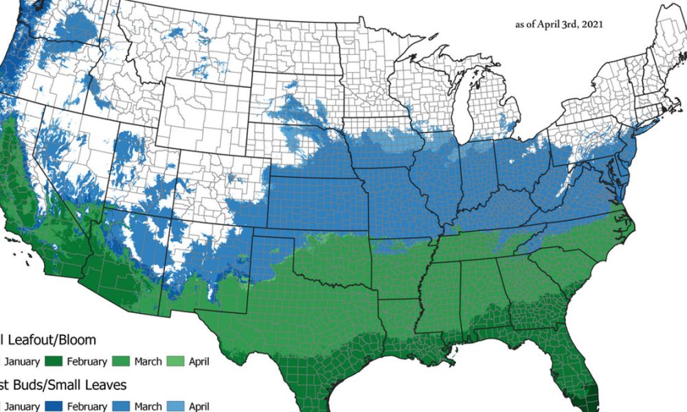 How Far Has Spring Made It? - Chartistry