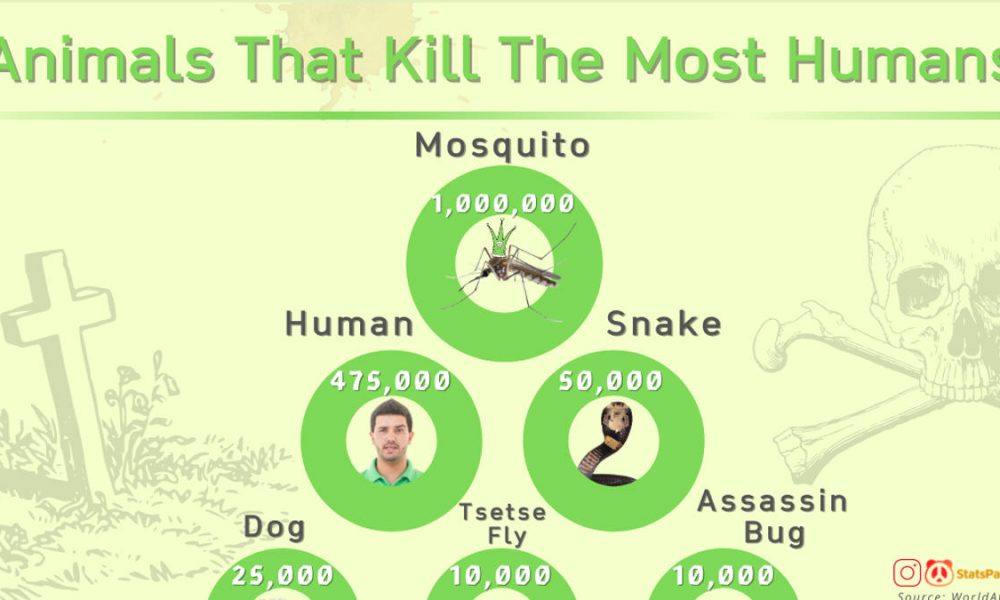 The Deadliest Animals in the World - Chartistry